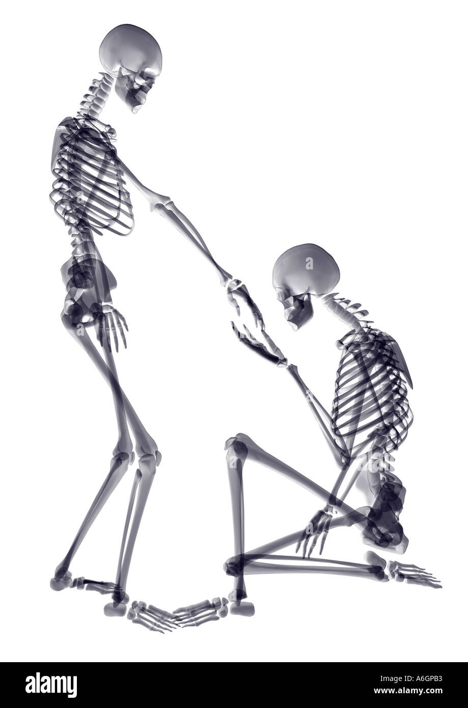 X Ray Skeleton Kiss