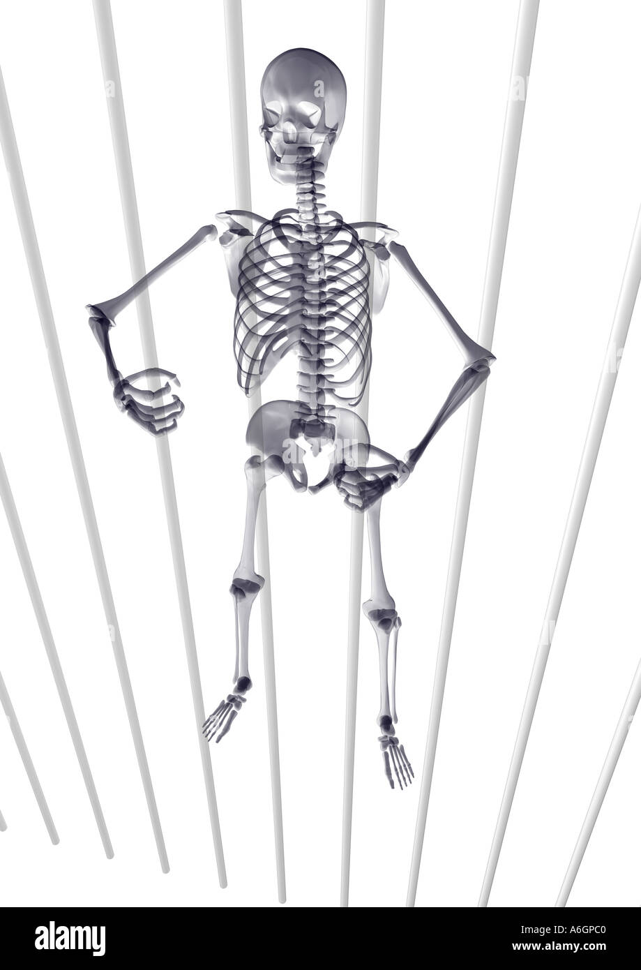 x ray skeleton in prison Stock Photo - Alamy