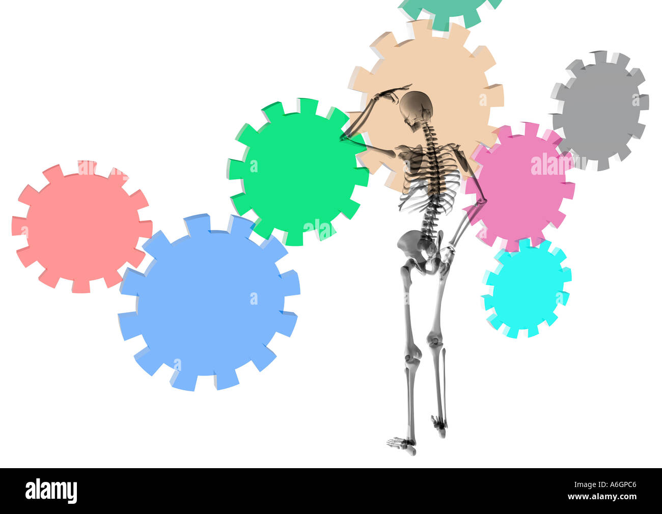 x ray skeleton in moment of reflexion Stock Photo - Alamy