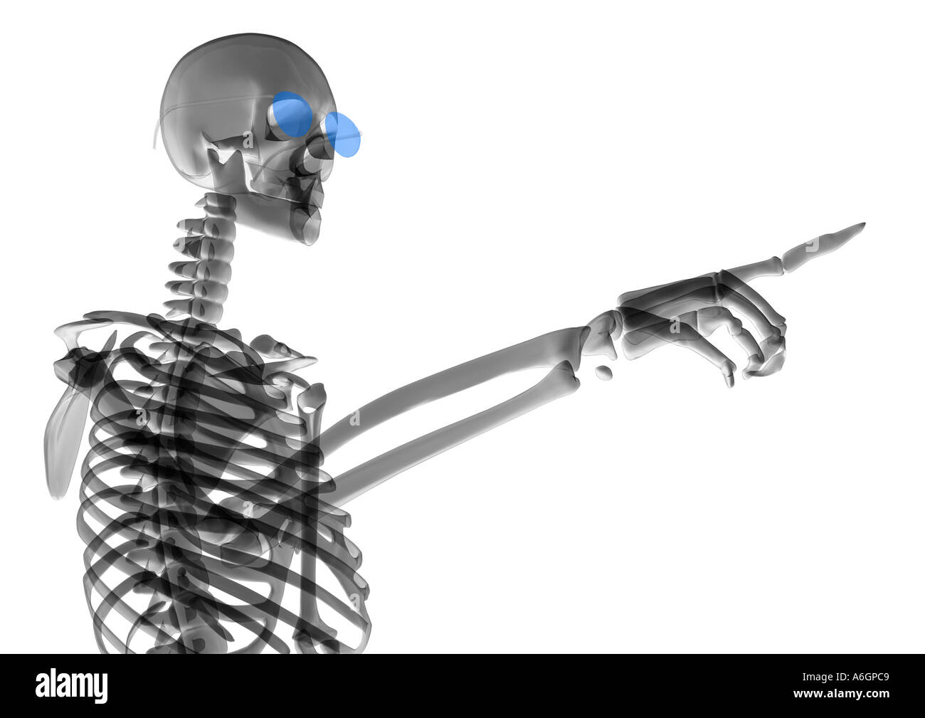 Xray skeleton bizarre hi-res stock photography and images - Alamy