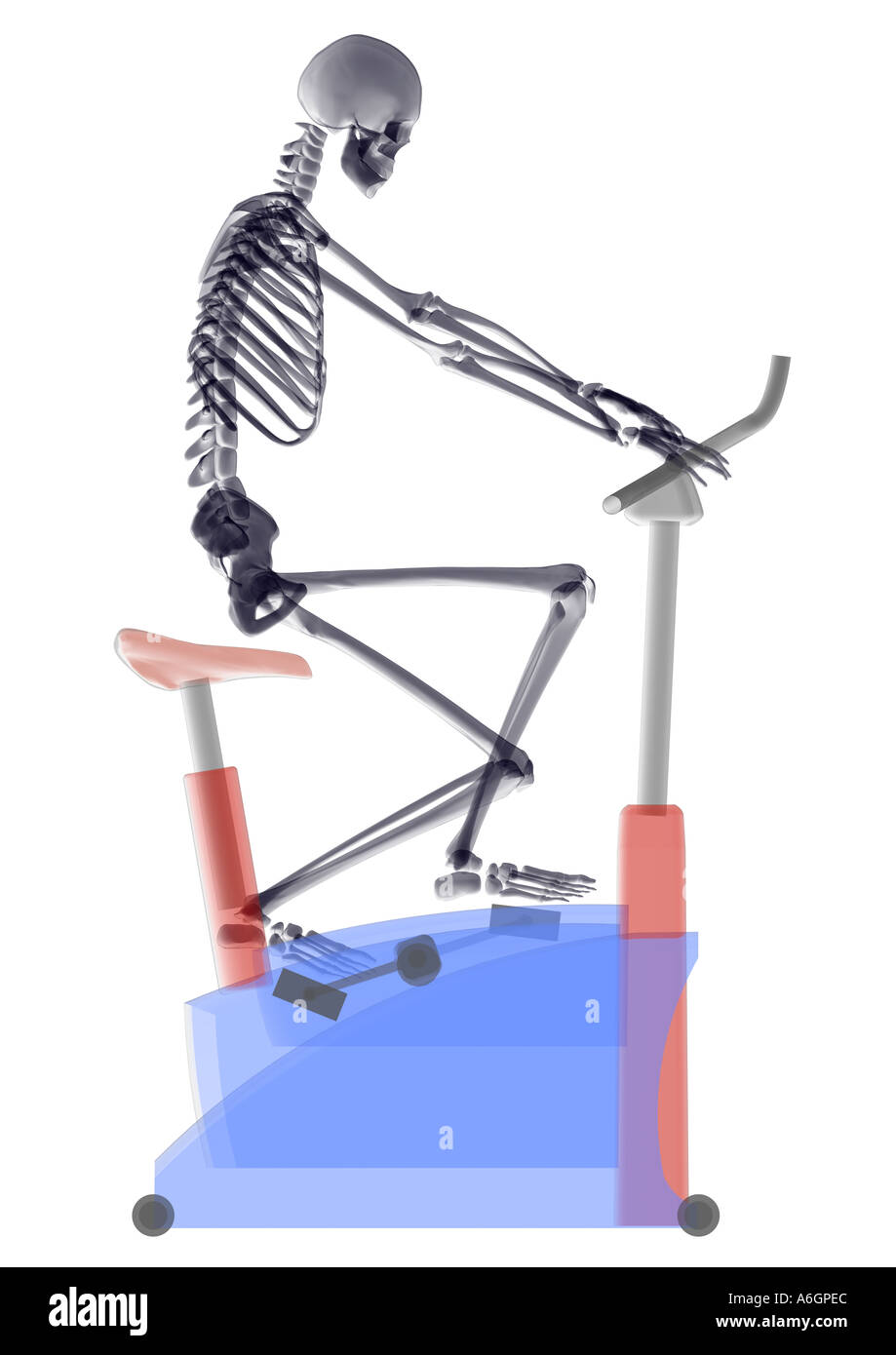 x ray skeleton home trainer Stock Photo - Alamy