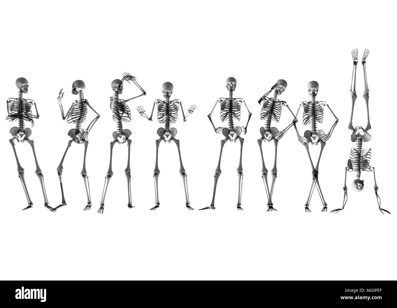 x ray skeleton collection Stock Photo - Alamy