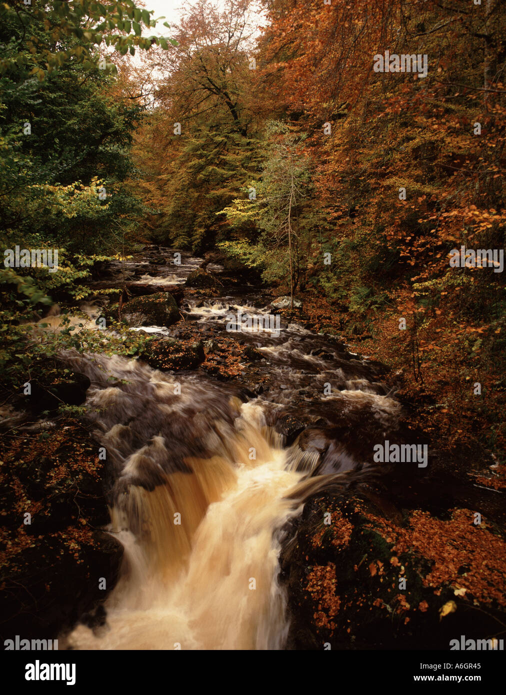 The Birks Aberfeldy Tayside Scotland Stock Photo - Alamy
