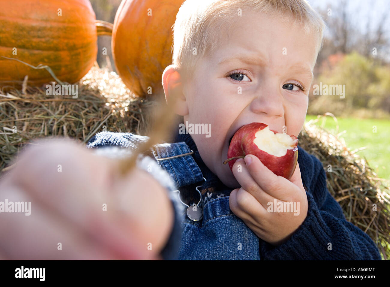 Boy eating an apple Stock Photo - Alamy