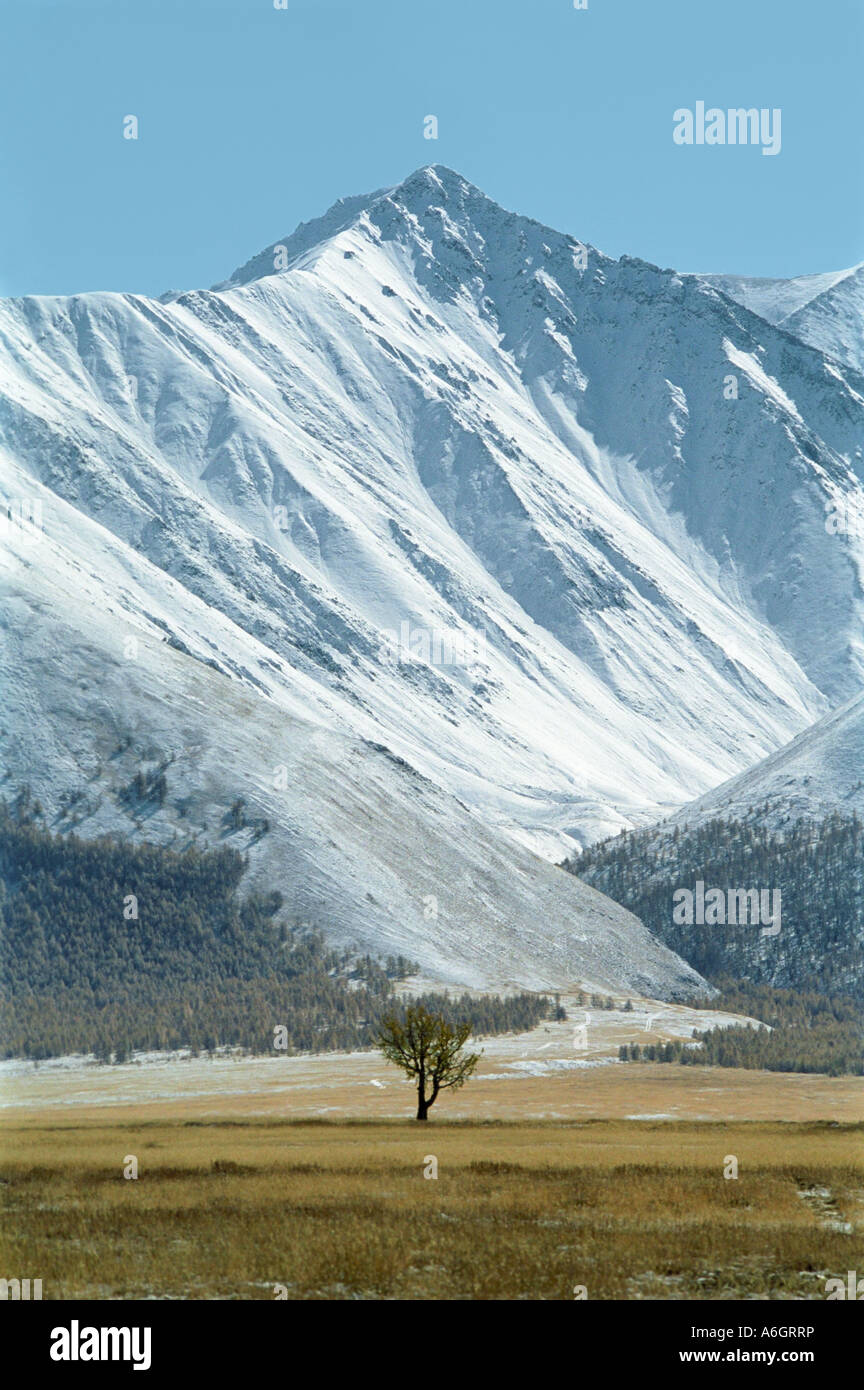 Russian steppe empty hi-res stock photography and images - Alamy