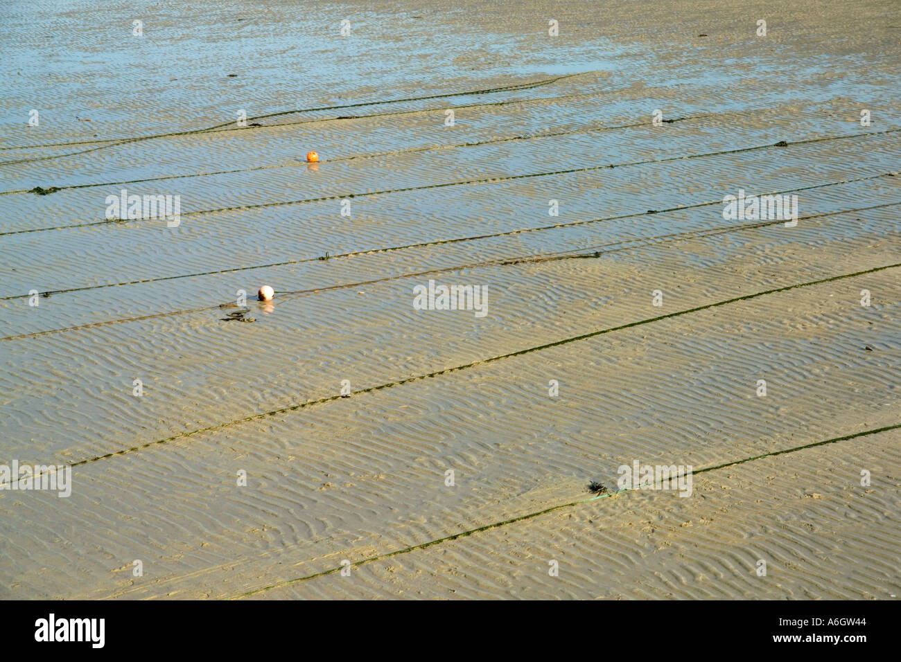 Runningsand hi-res stock photography and images - Alamy