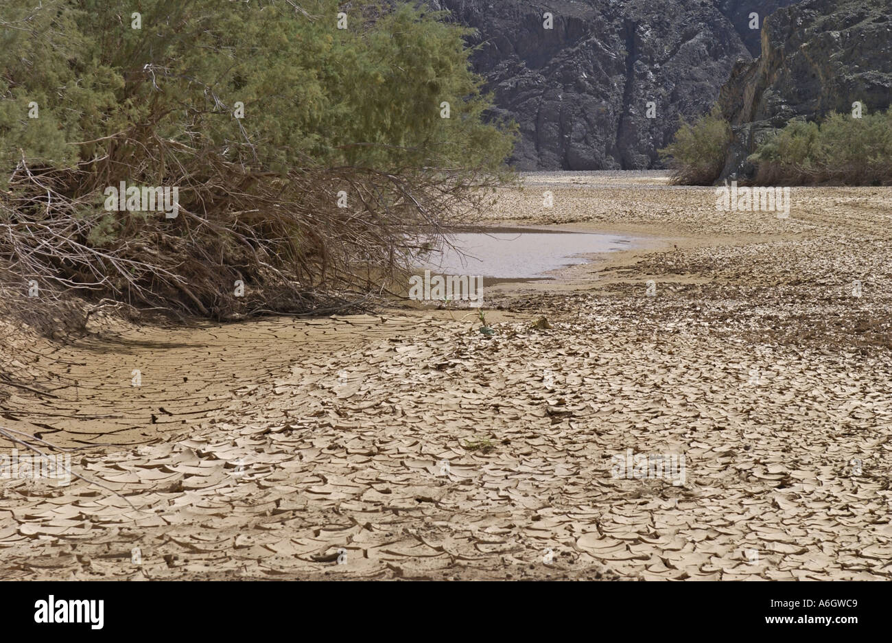 Wadi river saudi arabia hi-res stock photography and images - Alamy