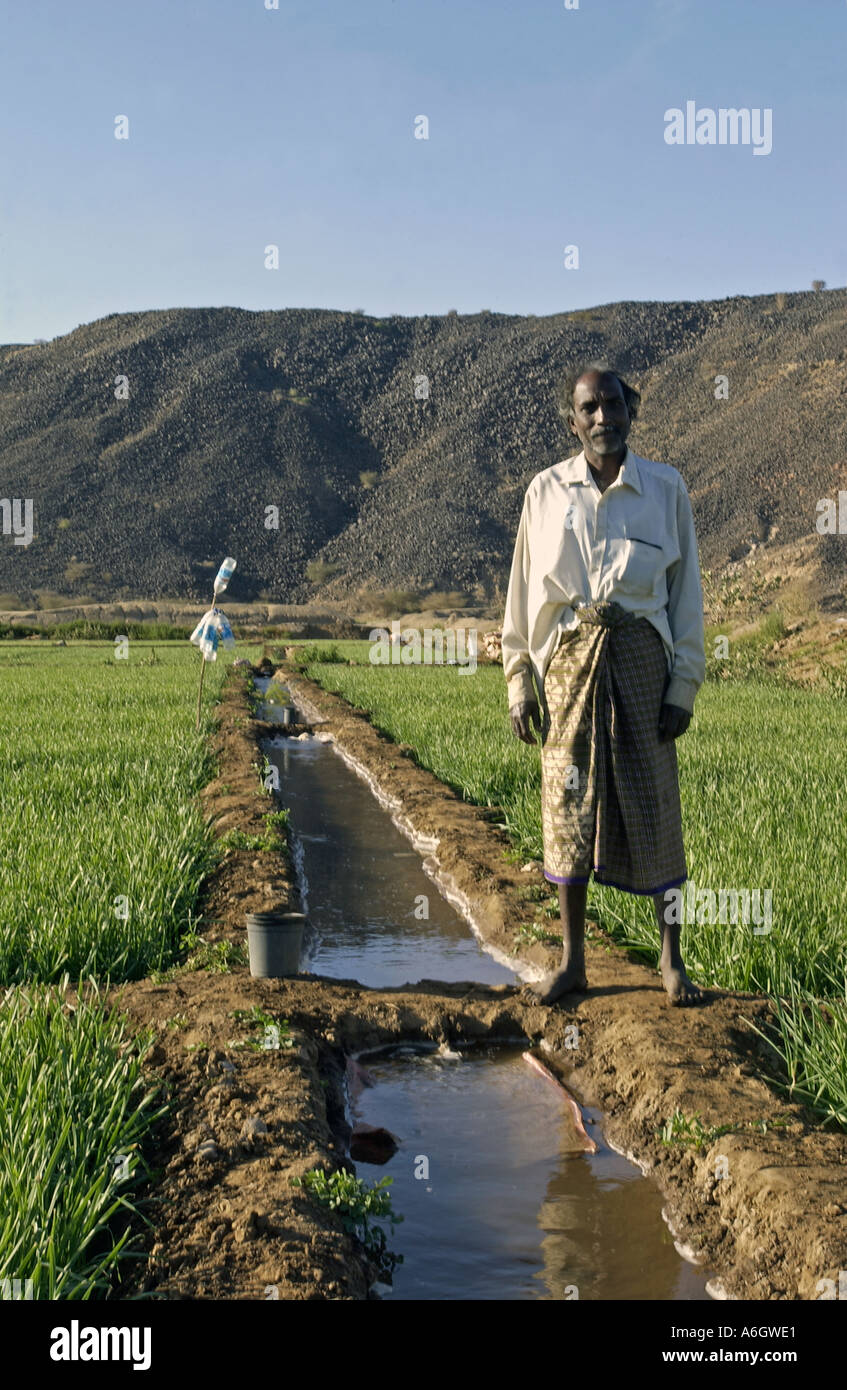 Irrigation Wadi Western Province Saudi Arabia Stock Photo - Alamy