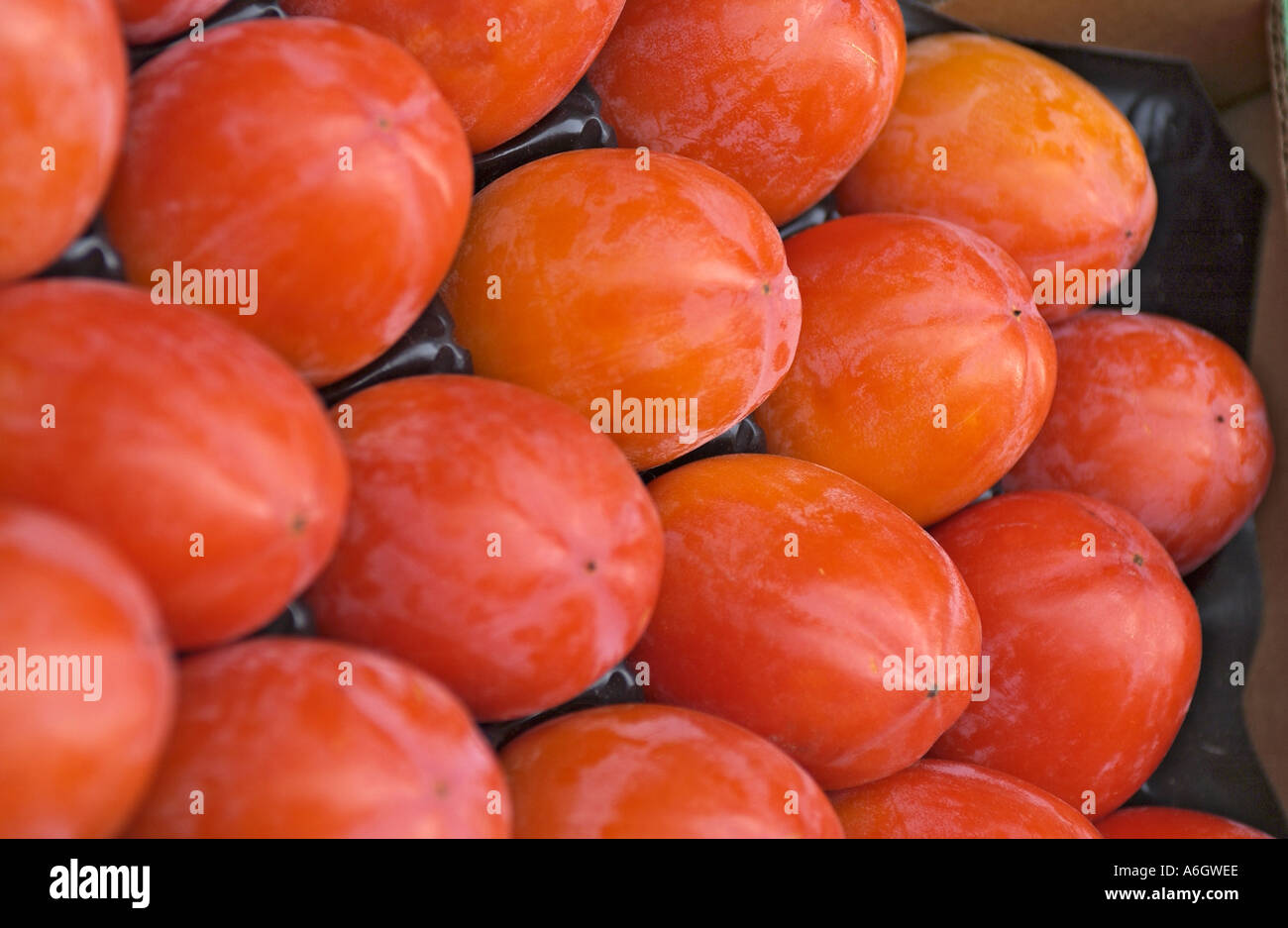 Red Plumbs Stock Photo - Alamy