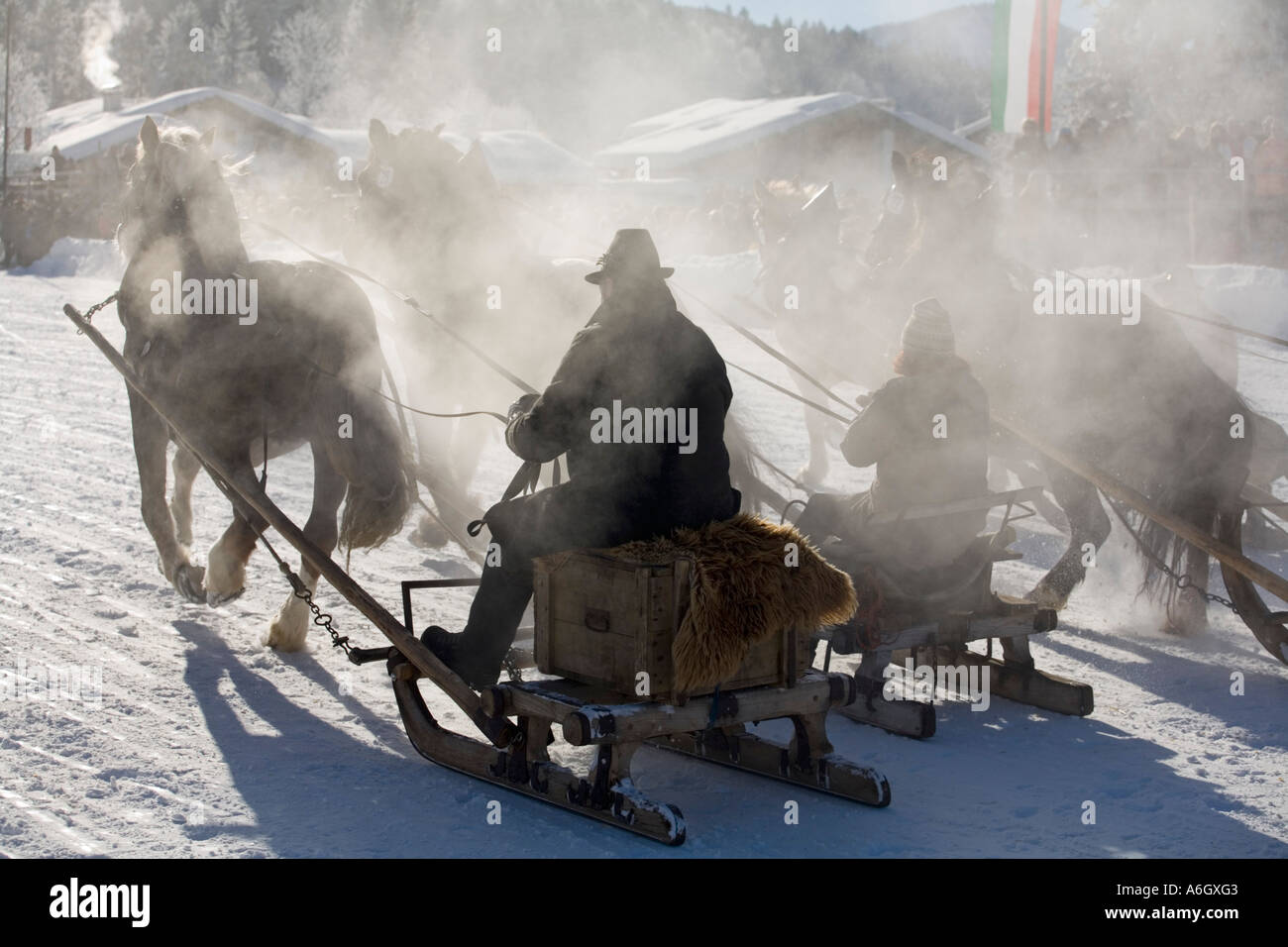 Horse drawn sleigh racing in Rottach-Egern Upper Bavaria Germany Stock ...