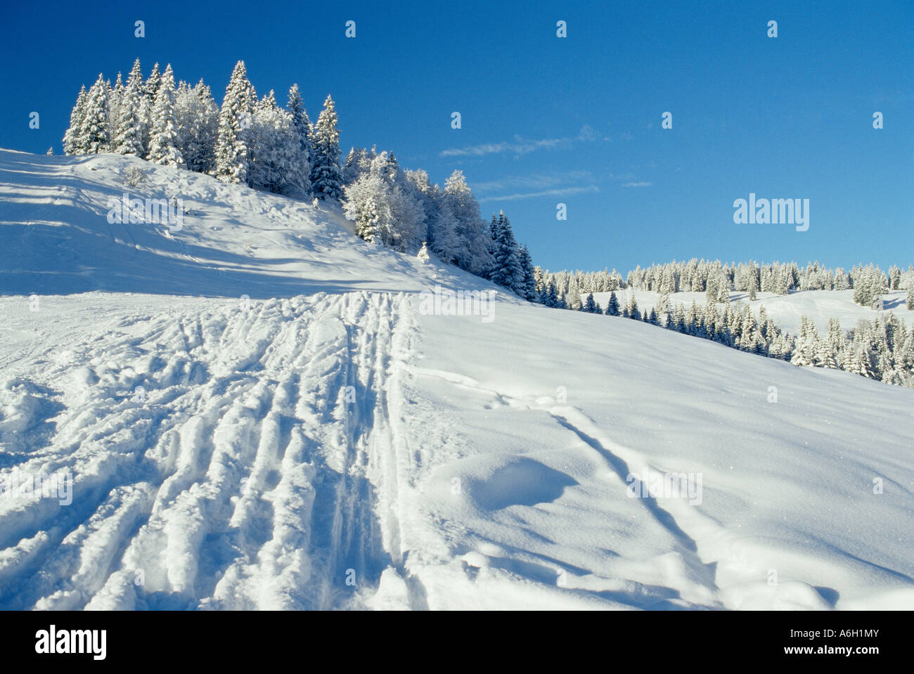 Ski slope in austria Stock Photo - Alamy