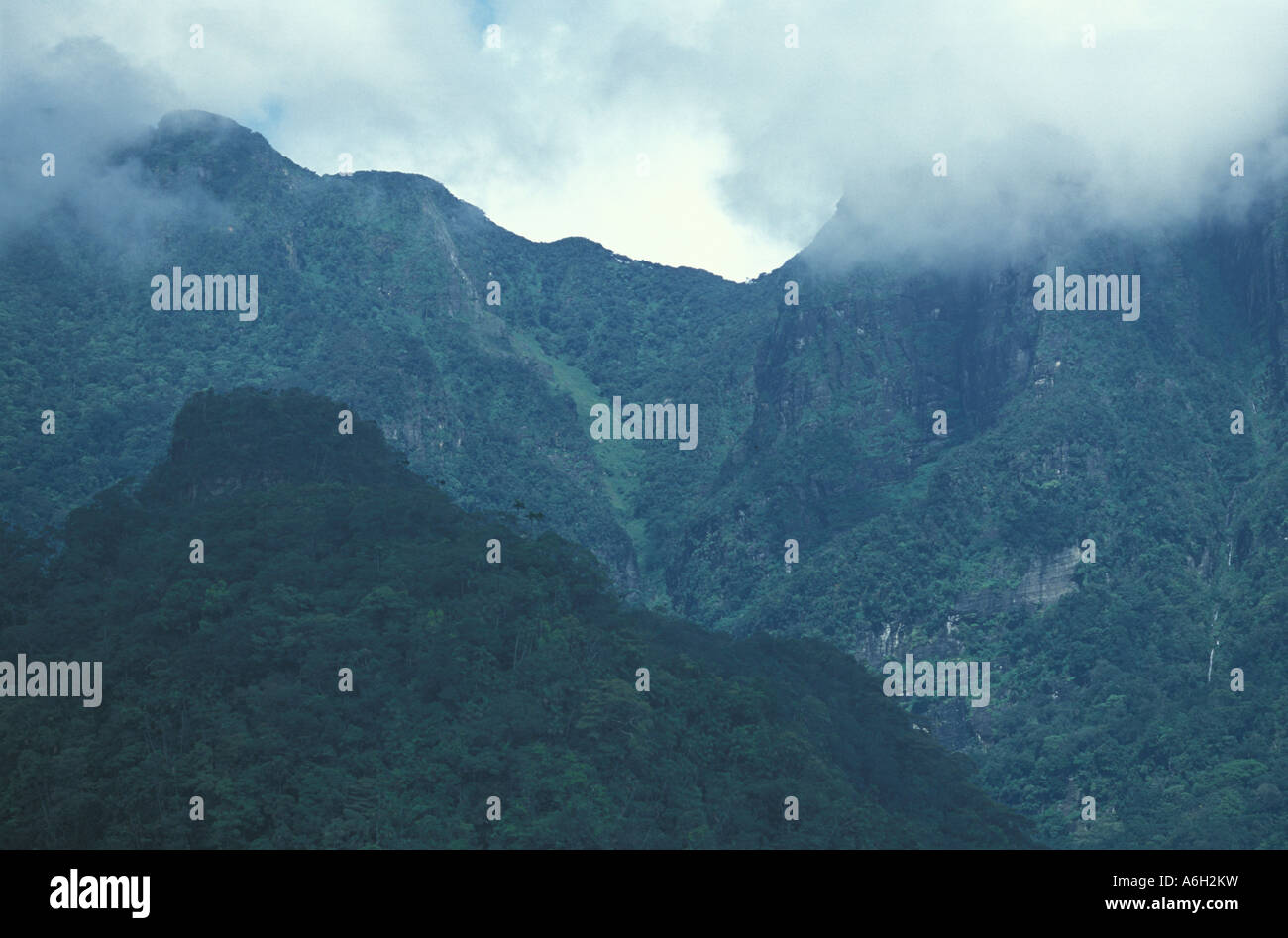 Corbetts sri lanka knuckles range hi-res stock photography and images ...