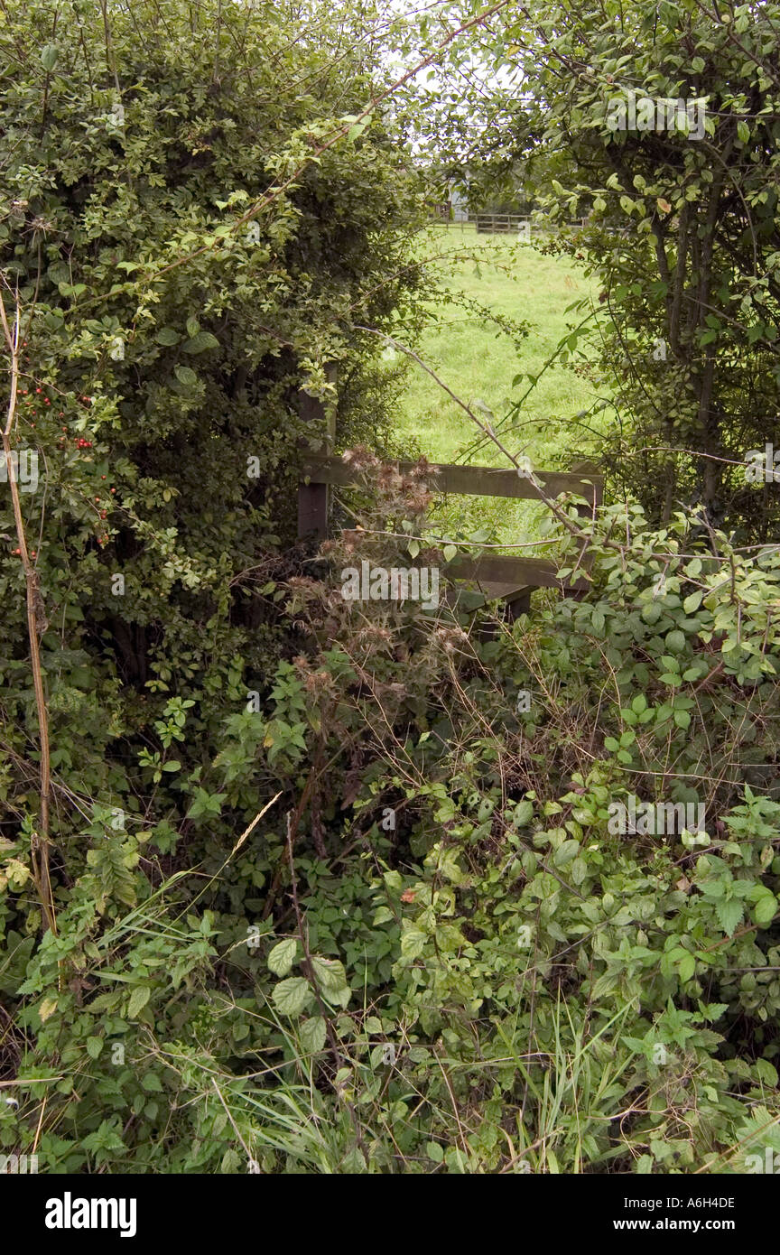 Track through hedge hi-res stock photography and images - Alamy