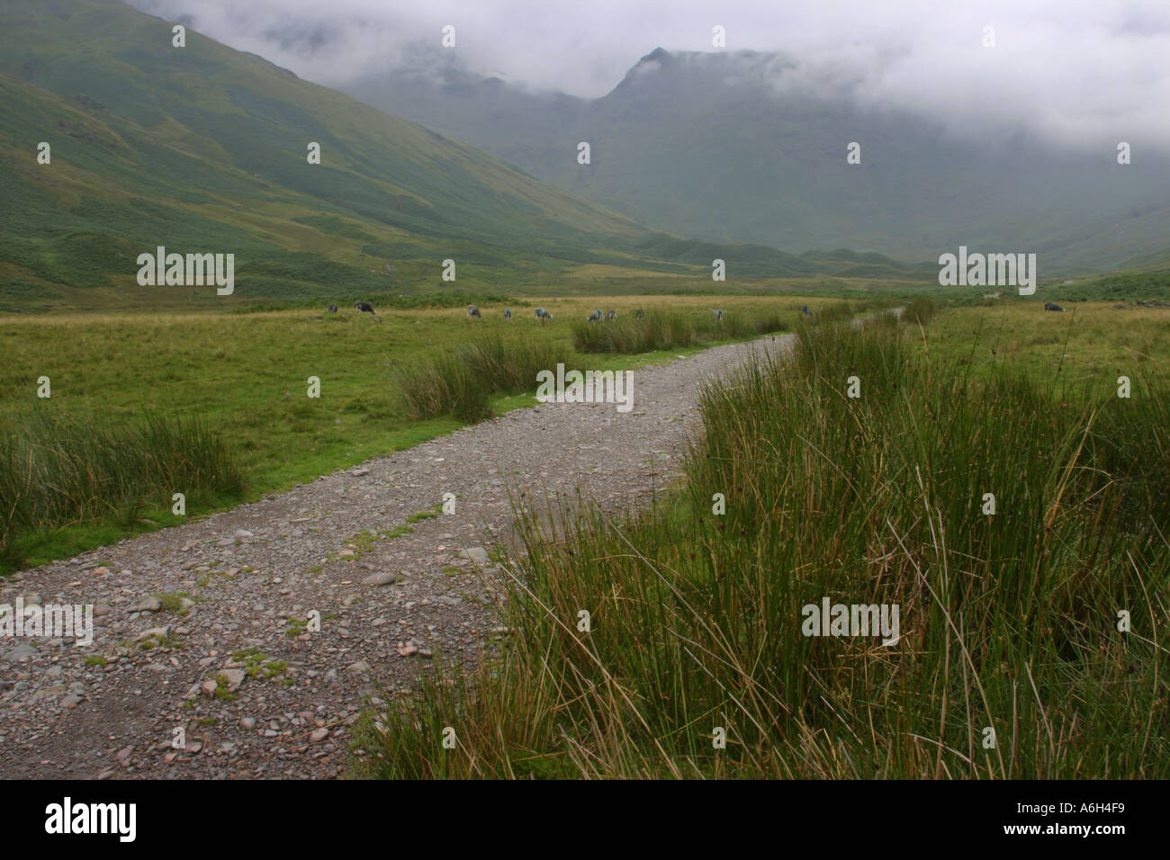 ENGLAND Cumbria Lake District National Park The well formed Cumbria Way ...