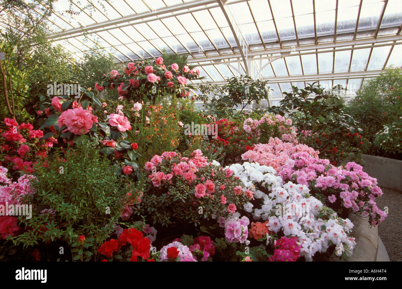 Arborium botanical garden Munich Germany Stock Photo - Alamy