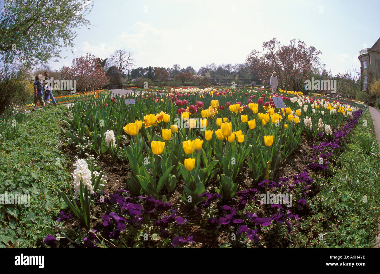 Botanical garden Munich Germany Stock Photo - Alamy