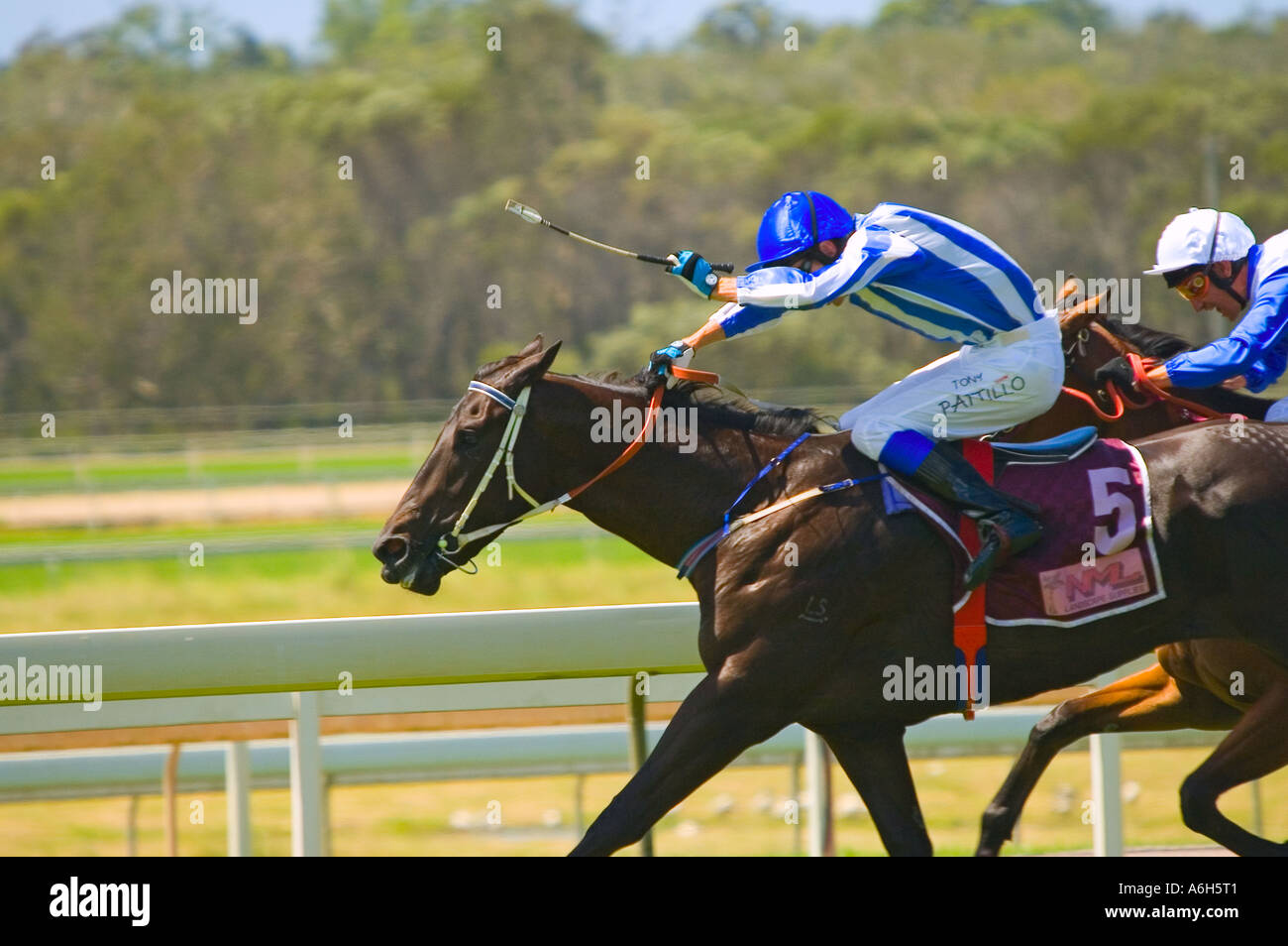 Nearing the winning post Stock Photo - Alamy
