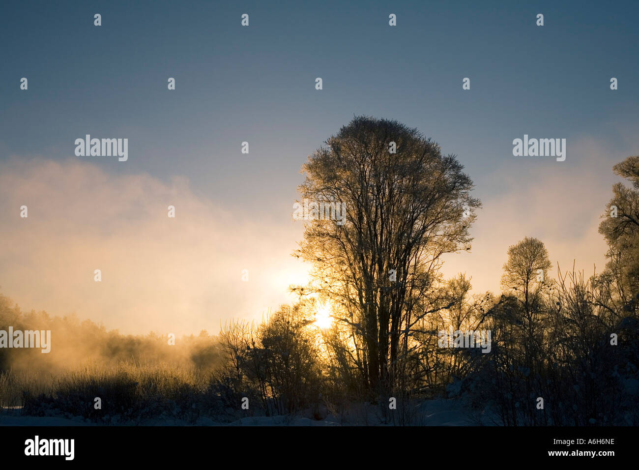Winter morning at Isar river Bavaria Germany Stock Photo - Alamy