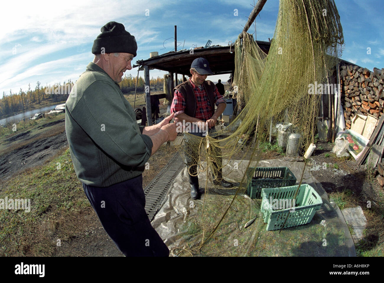 Fishermen are taking fishes from a net. Azas (Todja) lake. Toora-Khem ...
