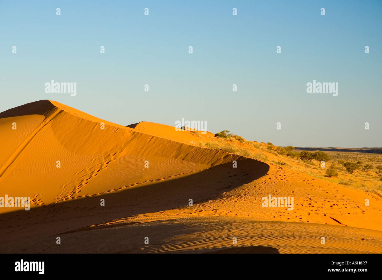 Big red sand dune simpson desert hi-res stock photography and images ...