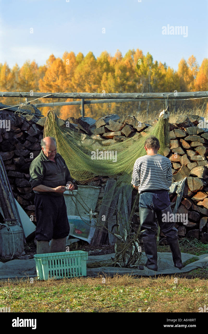 Fishermen are taking fishes from a net. Azas (Todja) lake. Toora-Khem ...