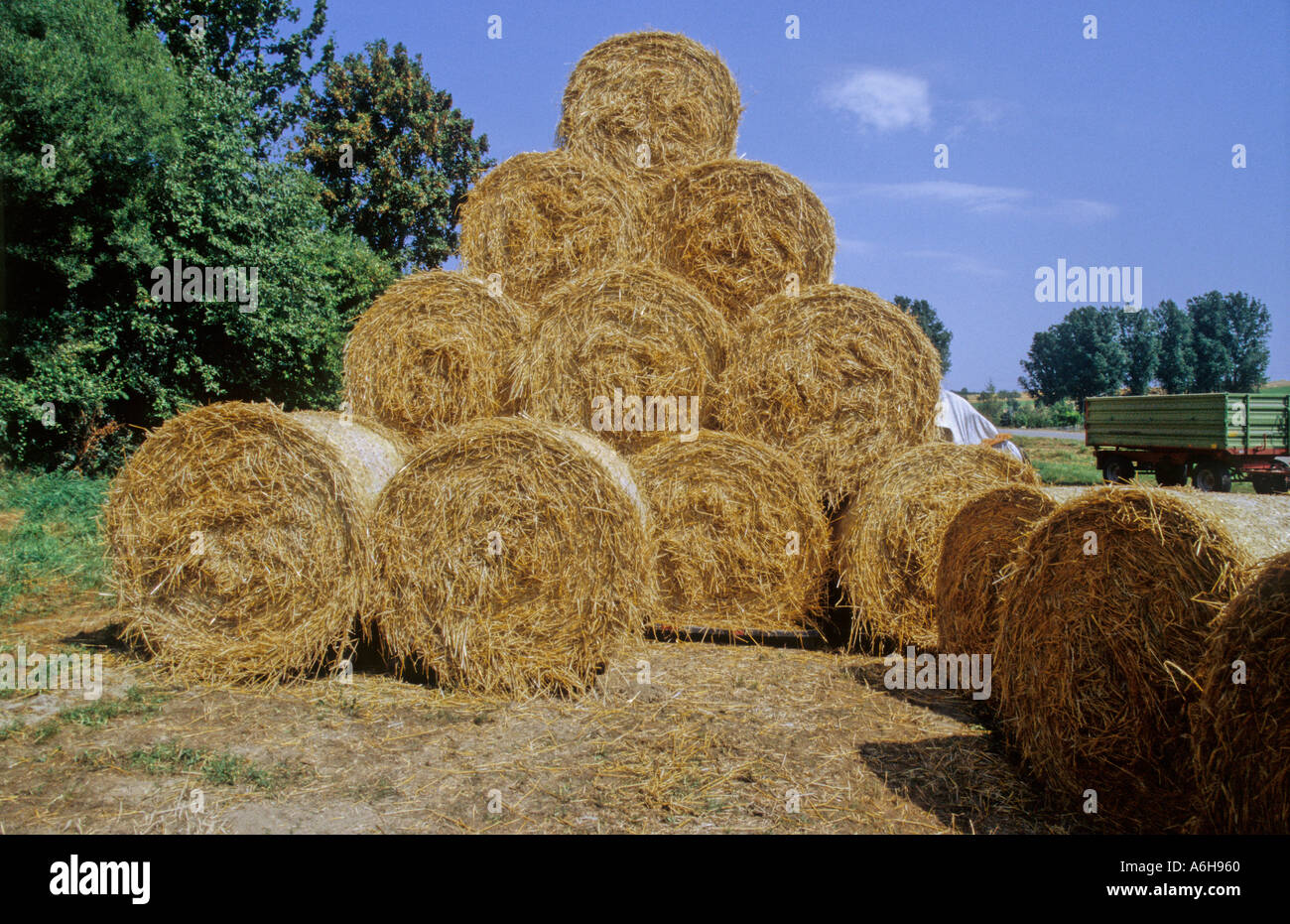 Straw Rolls 1 Stock Photo - Alamy