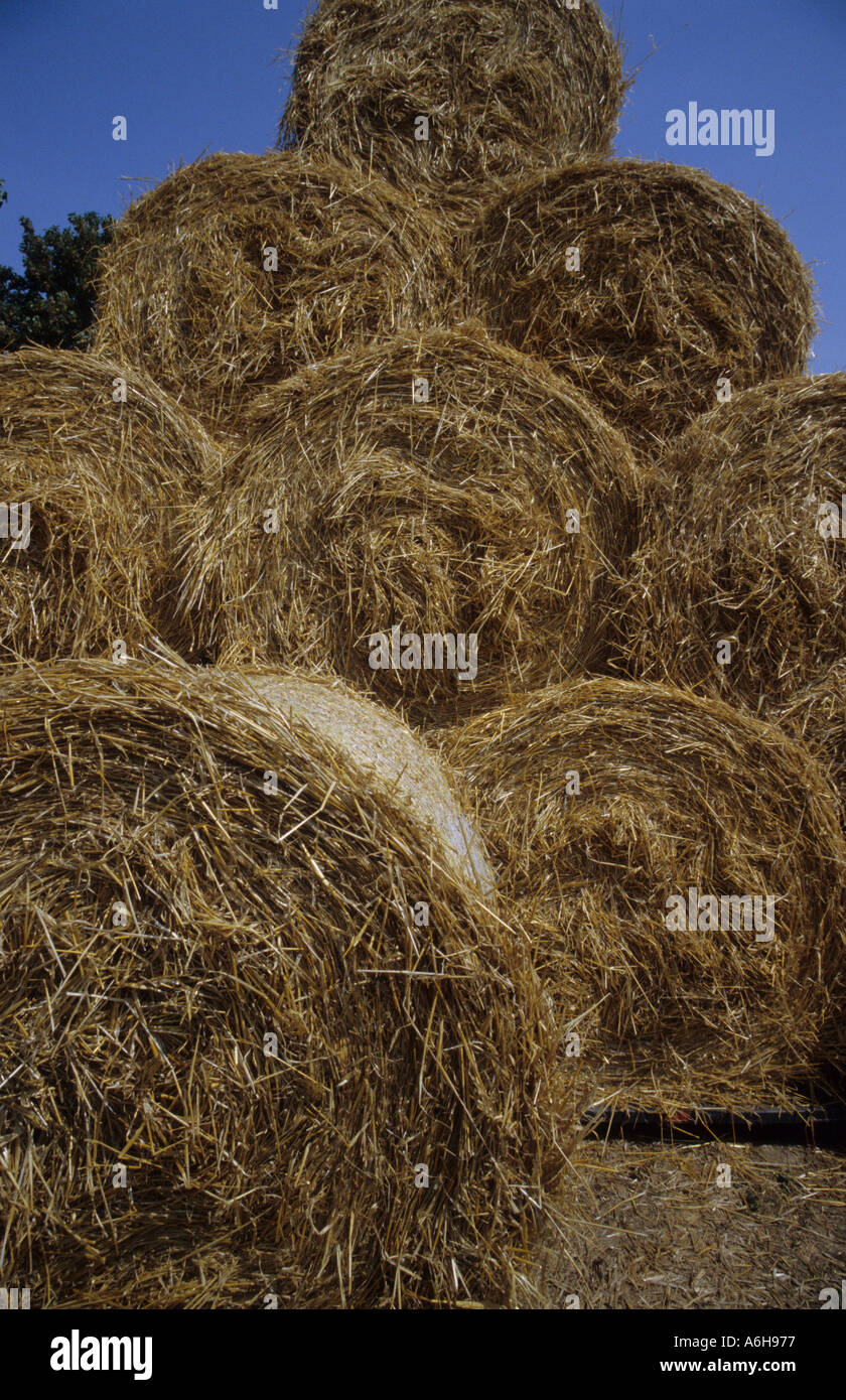 Straw Rolls 2 Stock Photo - Alamy