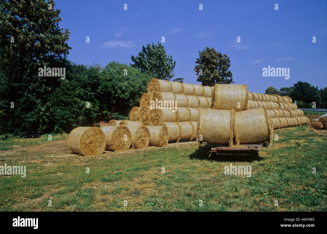 Straw Rolls 4 Stock Photo - Alamy