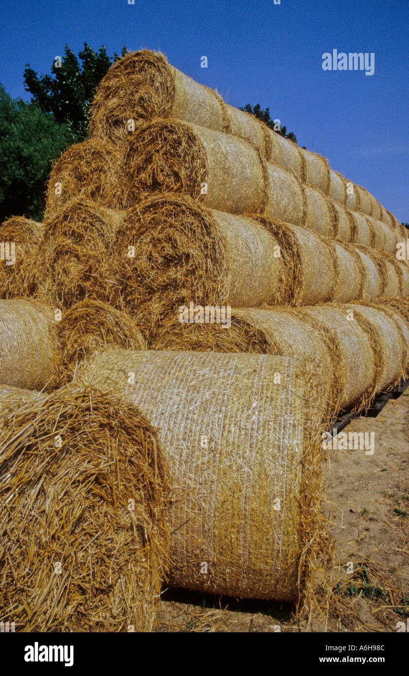 Thaching hi-res stock photography and images - Alamy