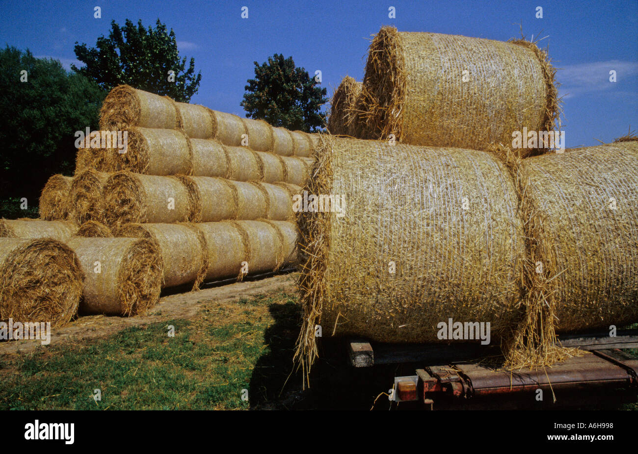 Straw Rolls 6 Stock Photo - Alamy