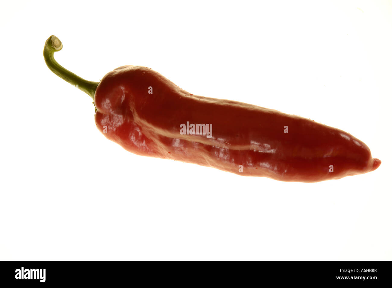 One large red chilli pepper Stock Photo - Alamy