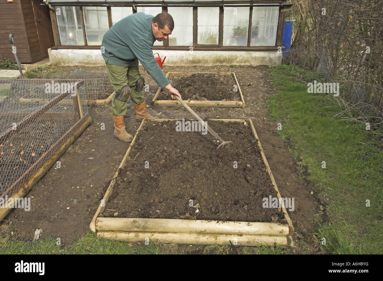 Gardener cultivating vegetable plot in small raised beds in urban ...