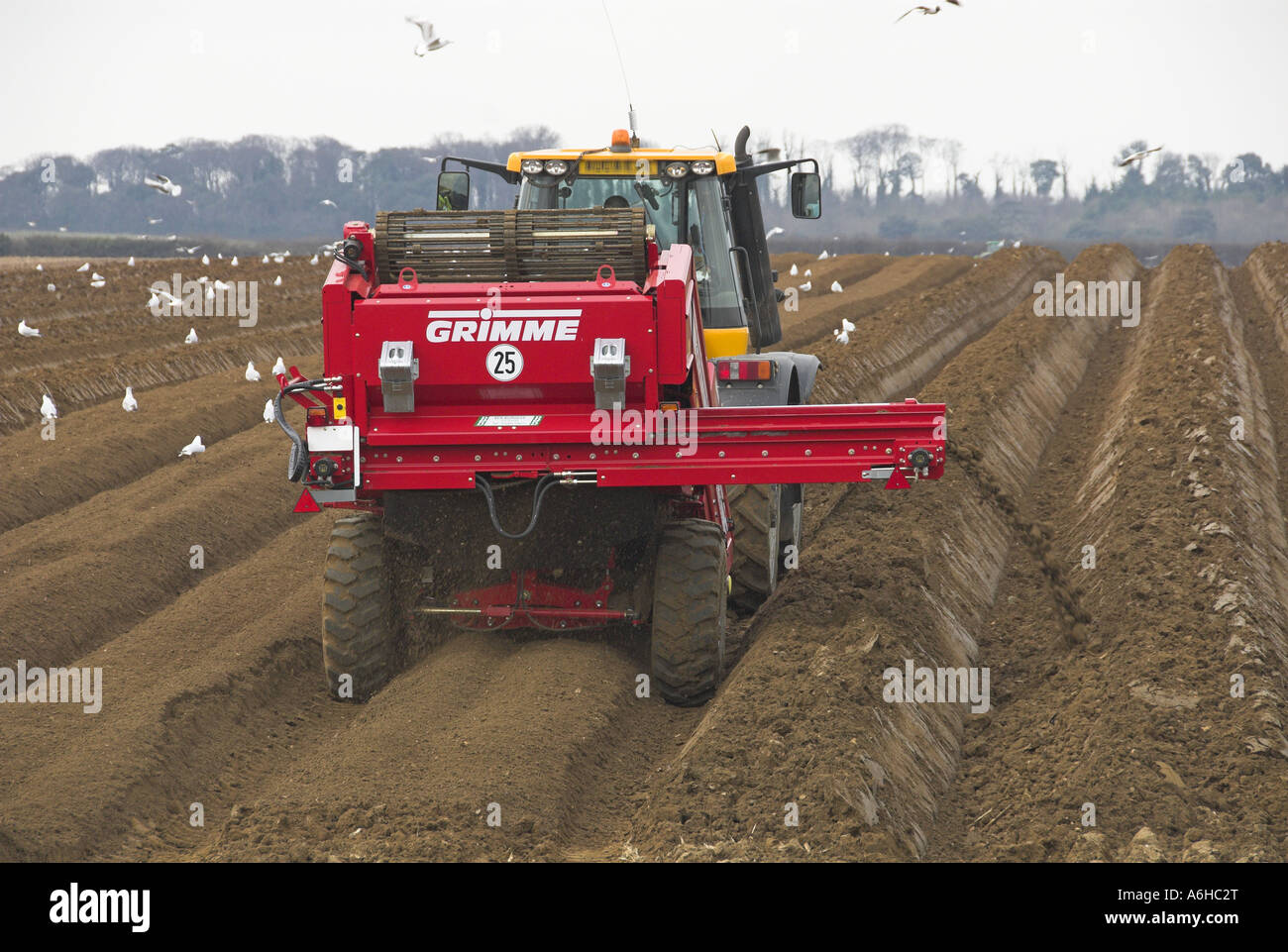 Mechanised soil preparation bed forming for commercial potato crop ...