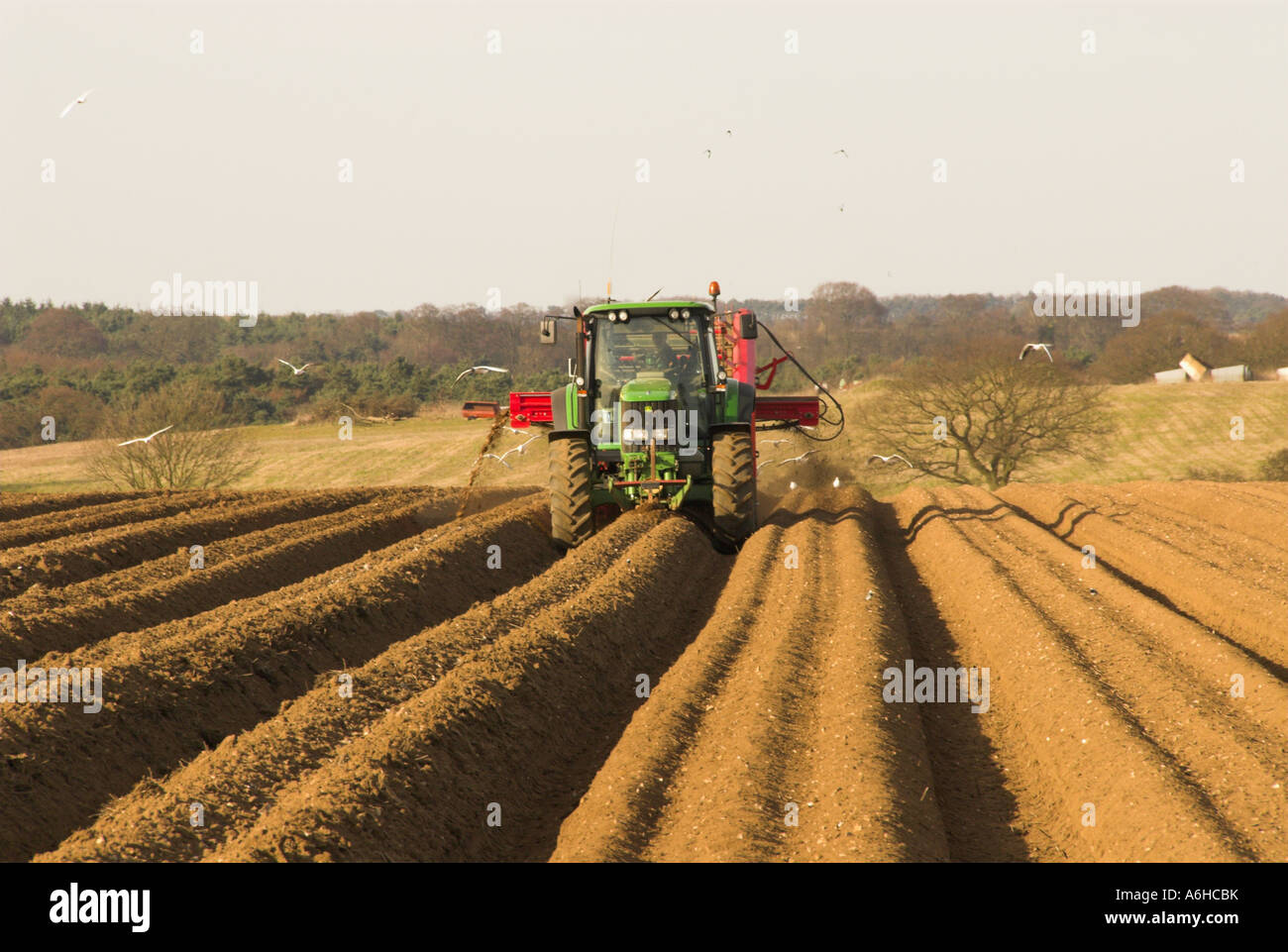 Bed forming hi-res stock photography and images - Alamy