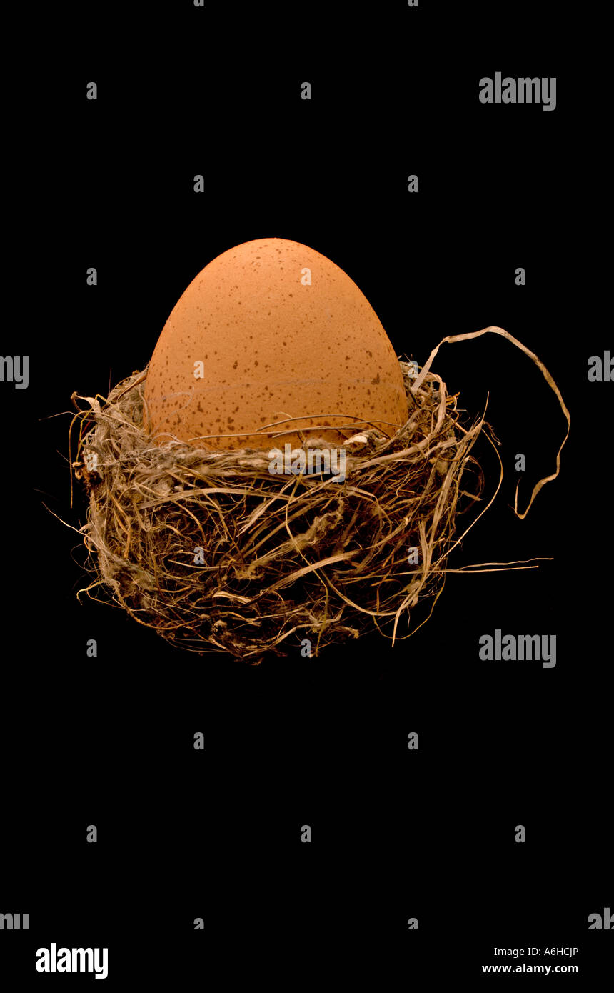 Single egg in birds nest Conceptual on black background Stock Photo - Alamy
