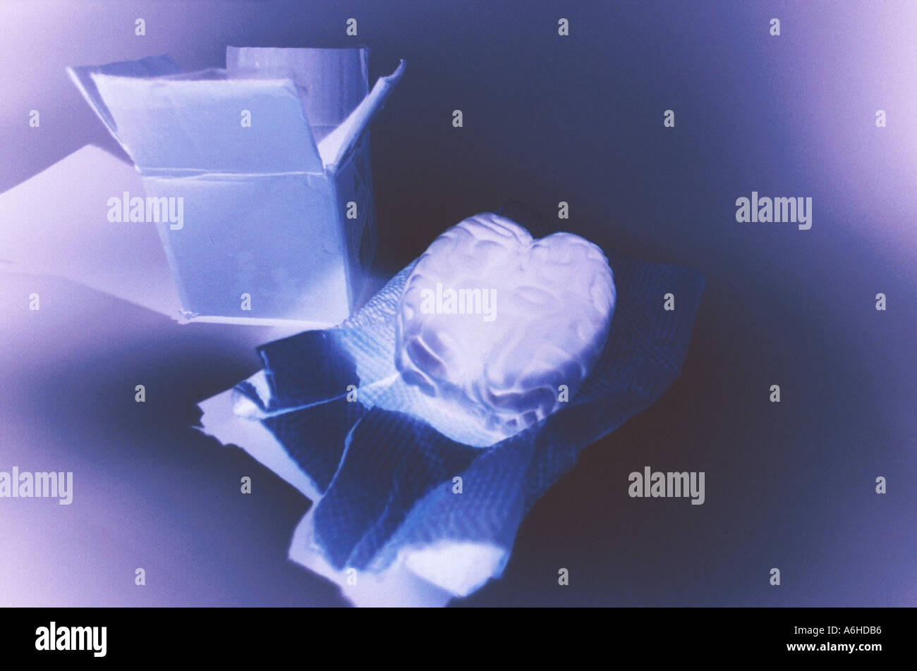 Brain next to Box Stock Photo - Alamy