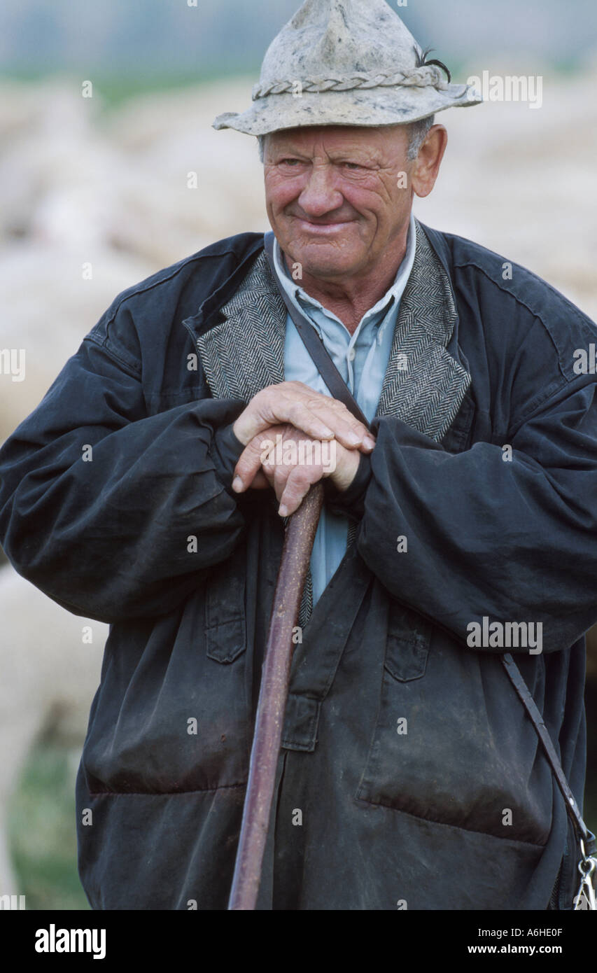 Shepherd with His Flock Stock Photo - Alamy