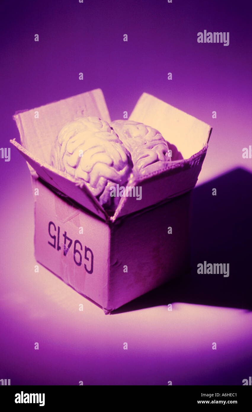 Brain in Box Stock Photo - Alamy