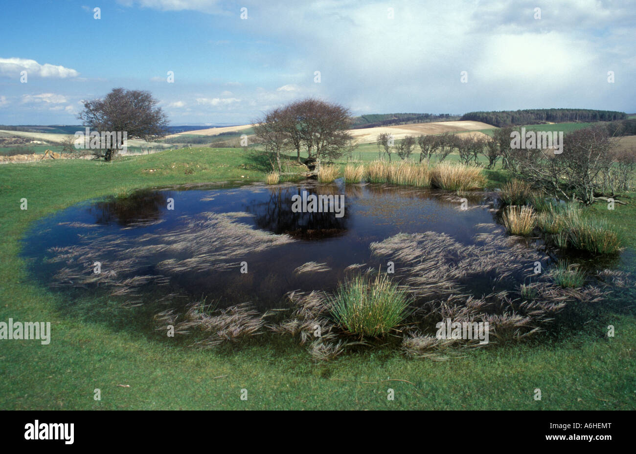 natural dew pond on Tennyson Down, Chale, Isle of Wight Stock Photo - Alamy
