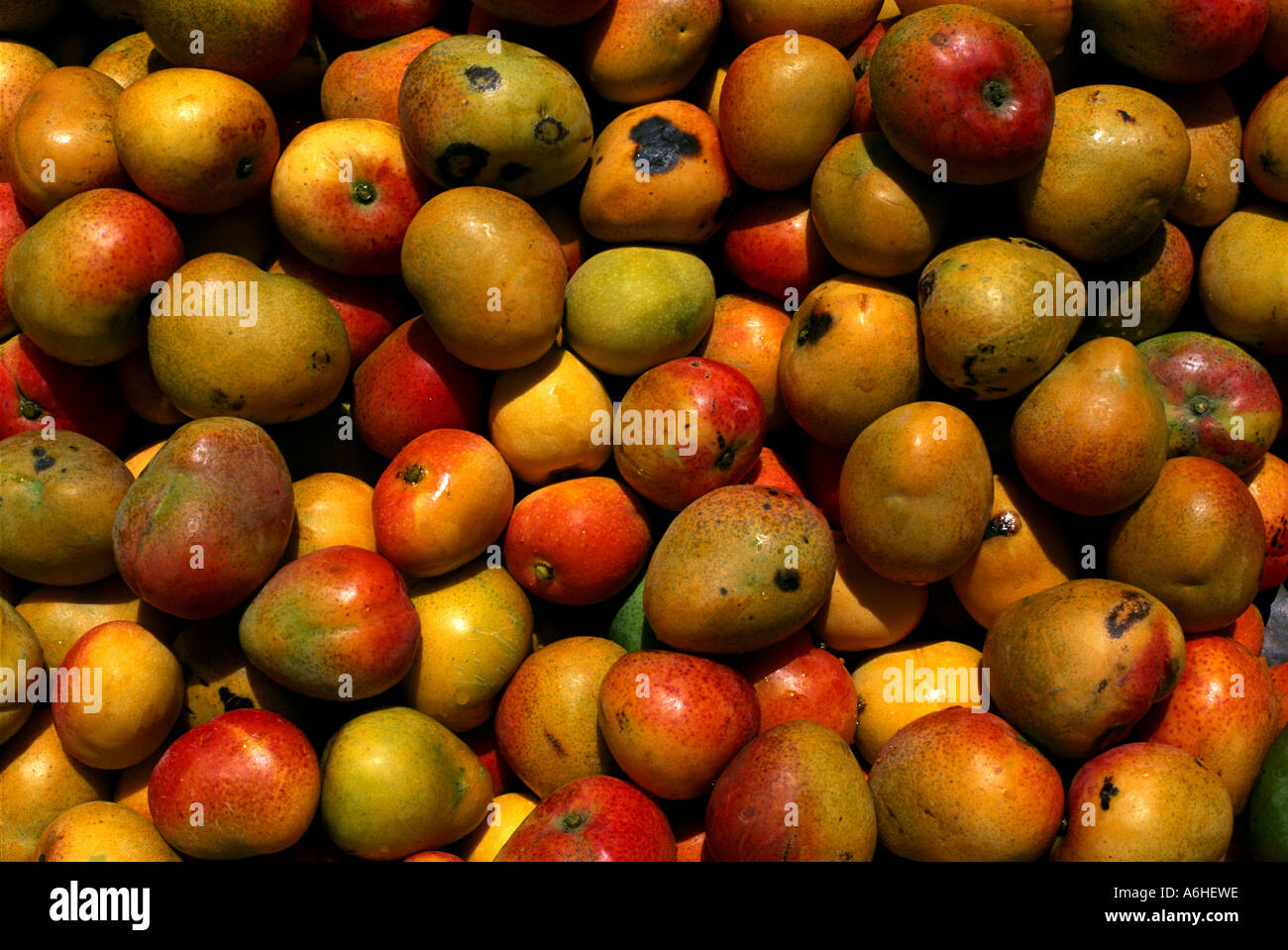 Paysages cuba hi-res stock photography and images - Alamy