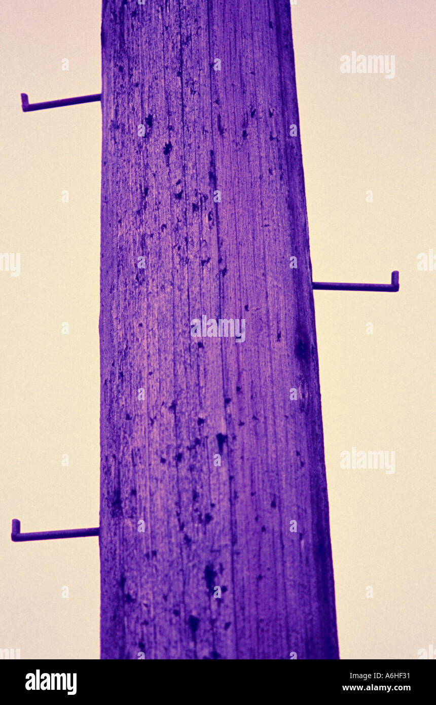 Purple Telephone Pole Stock Photo - Alamy