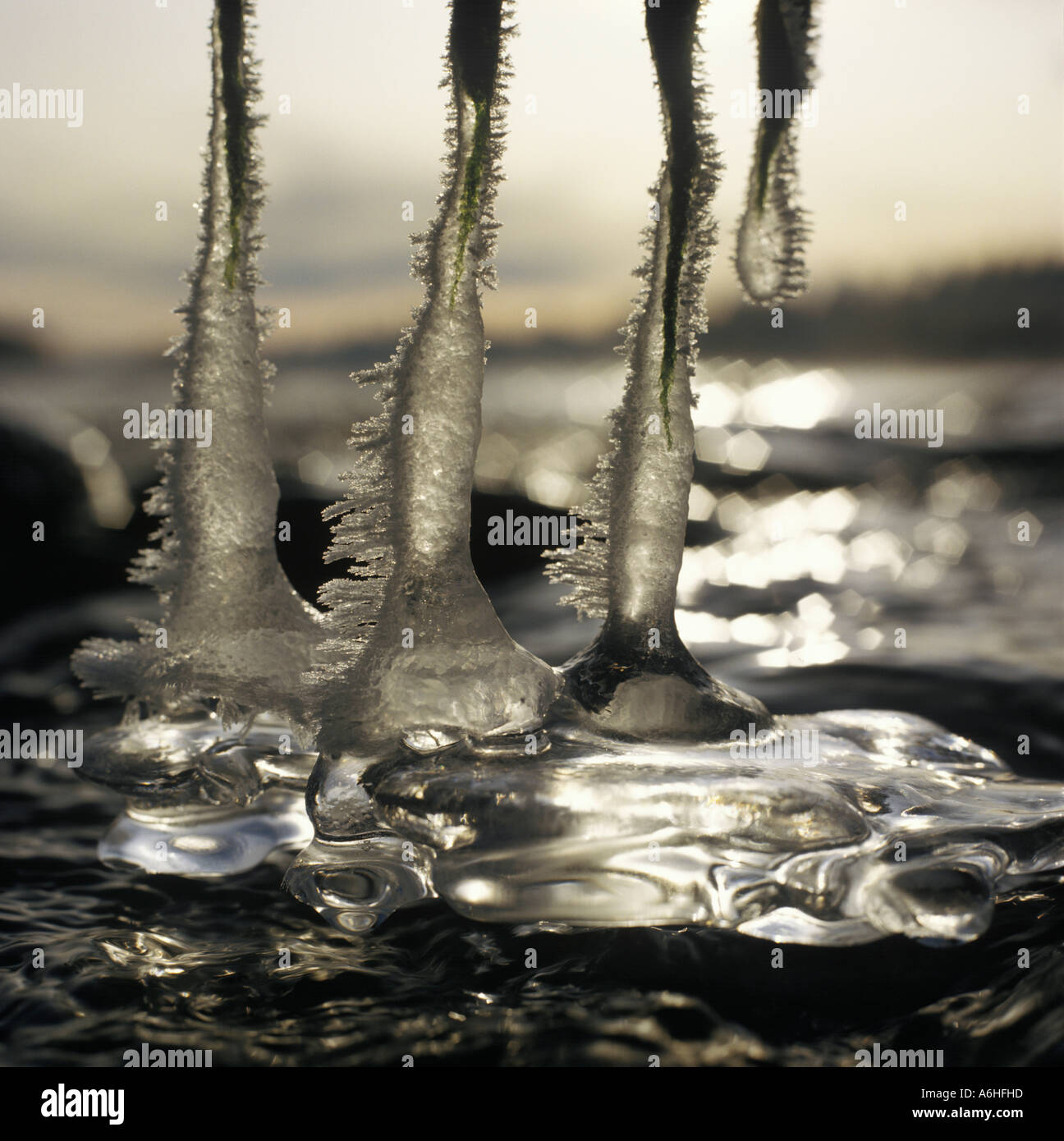 Ice on river Isar Germany Stock Photo - Alamy