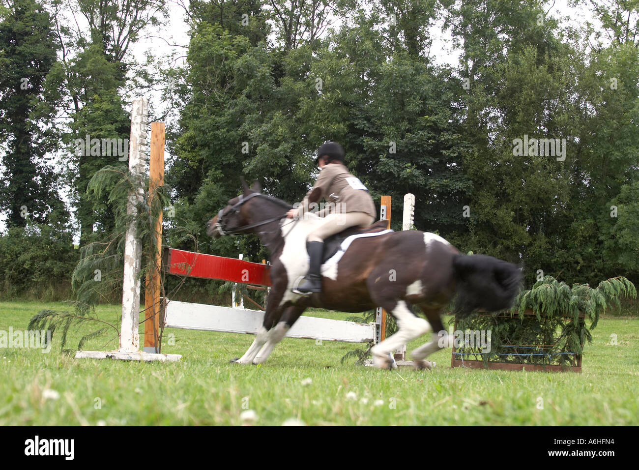 Show jumping rider contestant Stock Photo - Alamy