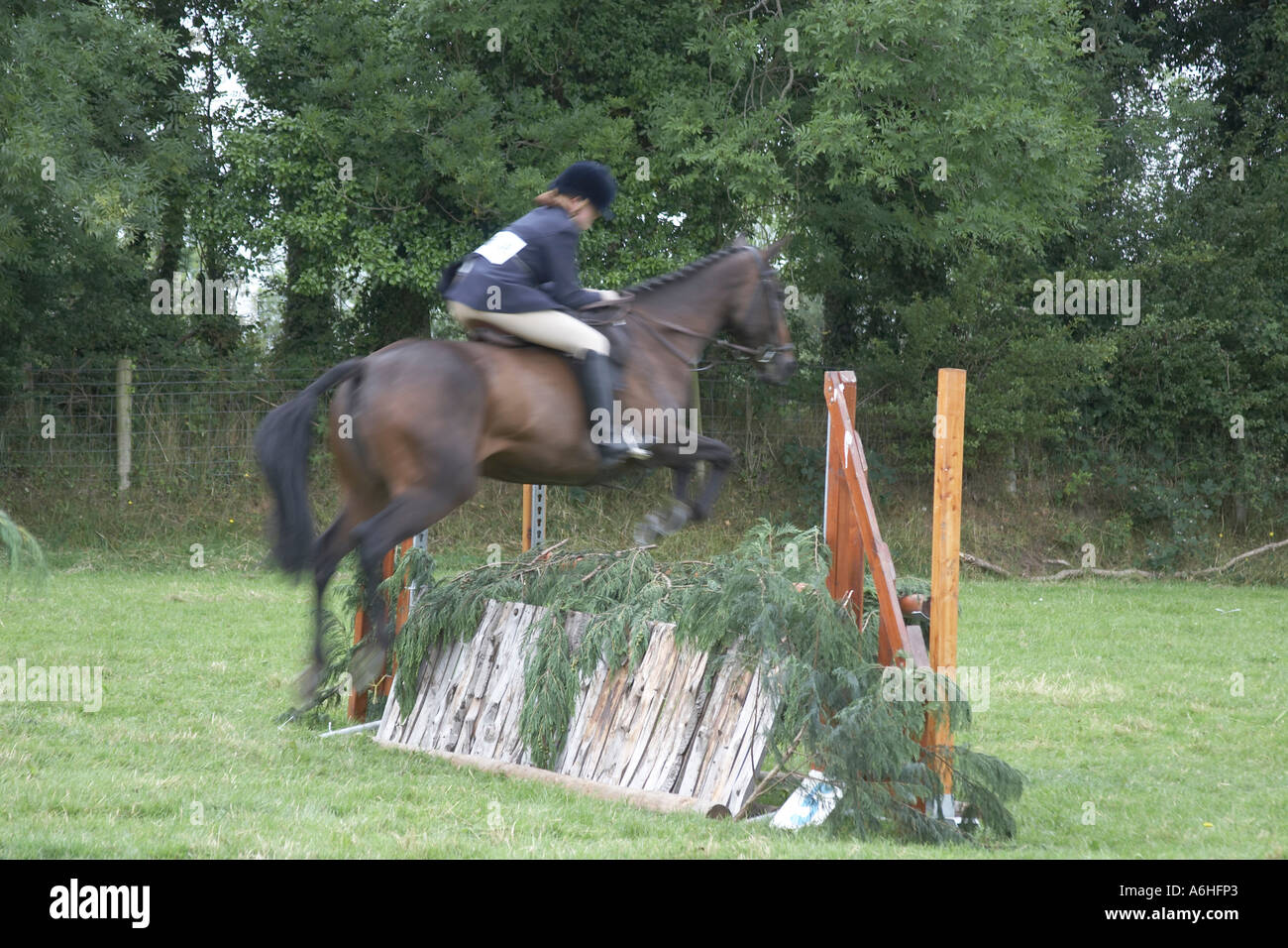 Show jumping rider contestant Stock Photo - Alamy