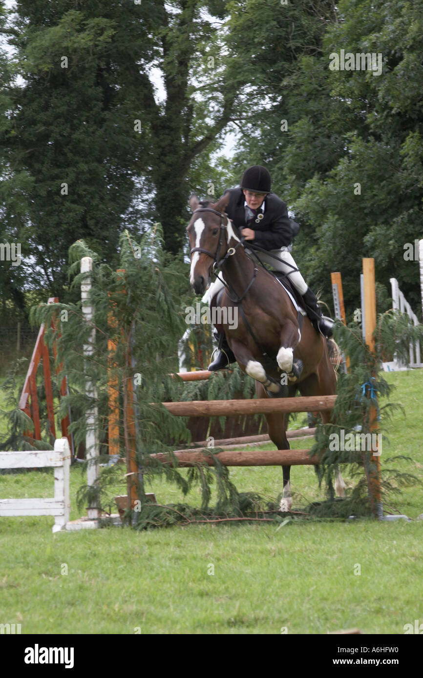 Show jumping rider contestant and horse at a fence Clocher Valley ...