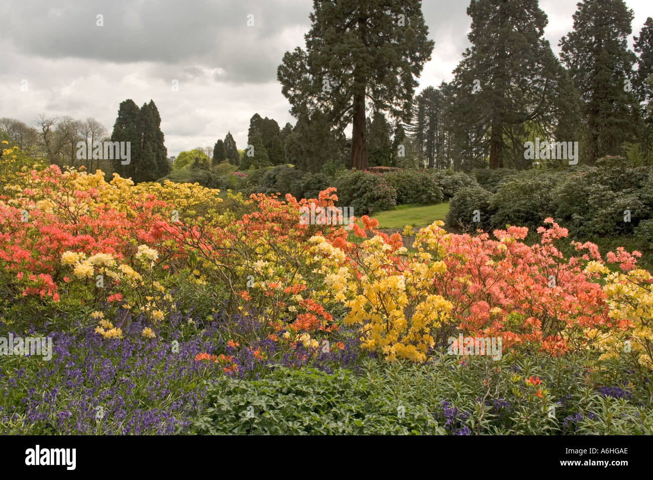 Ashridge house gardens hi-res stock photography and images - Alamy
