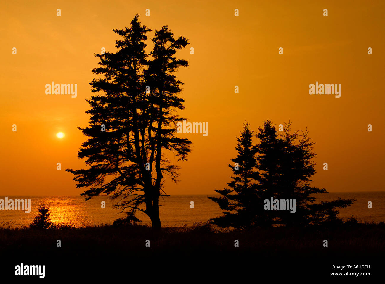 Canadian sunset over waterfront Stock Photo - Alamy