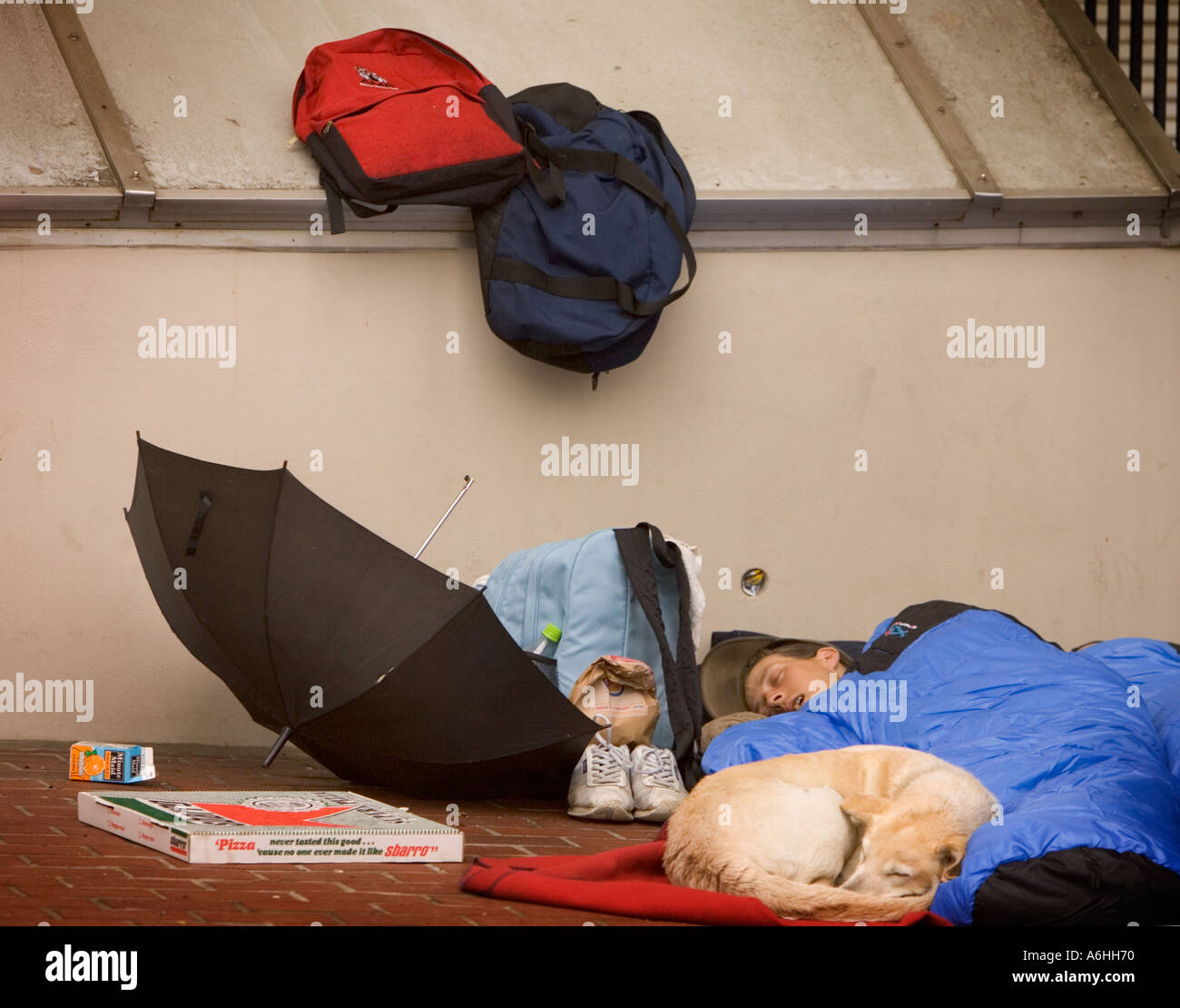 Homeless man and his dog Stock Photo - Alamy