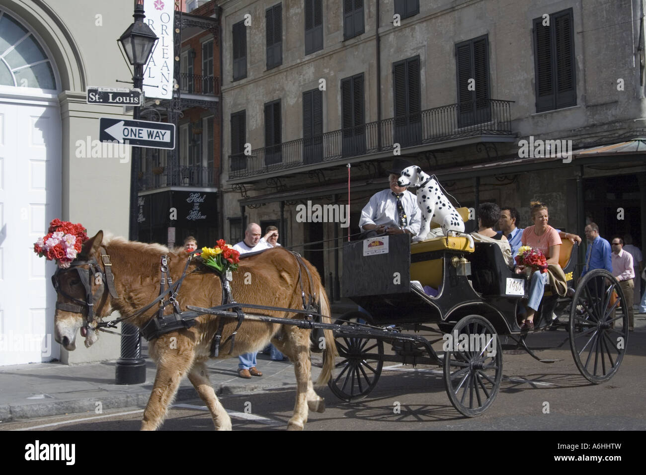 Tourist take carriage ride in French Quarter of New Orleans Stock Photo ...