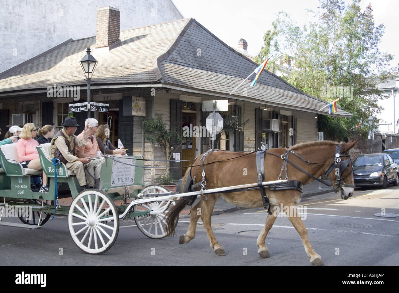 Mule donkey carriage hi-res stock photography and images - Alamy